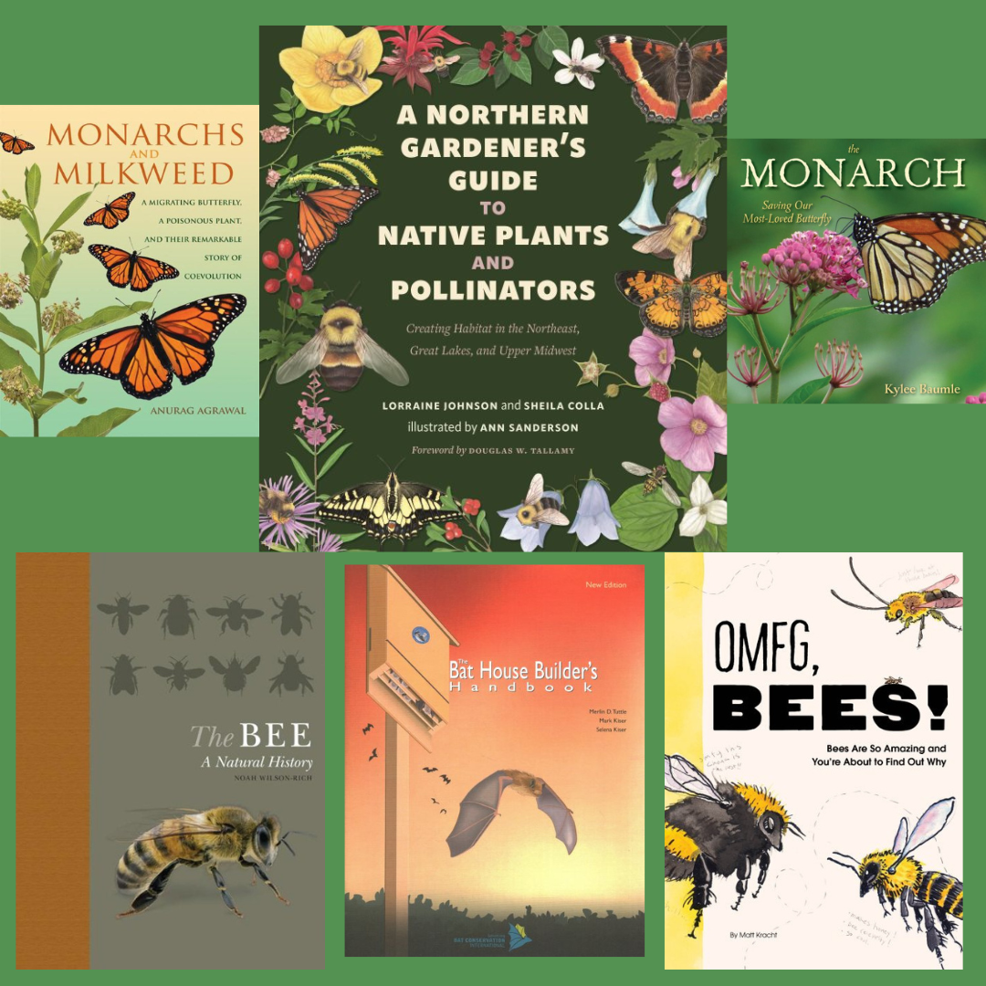 Sustainable Libraries Initiative - Center Moriches Free Public Library